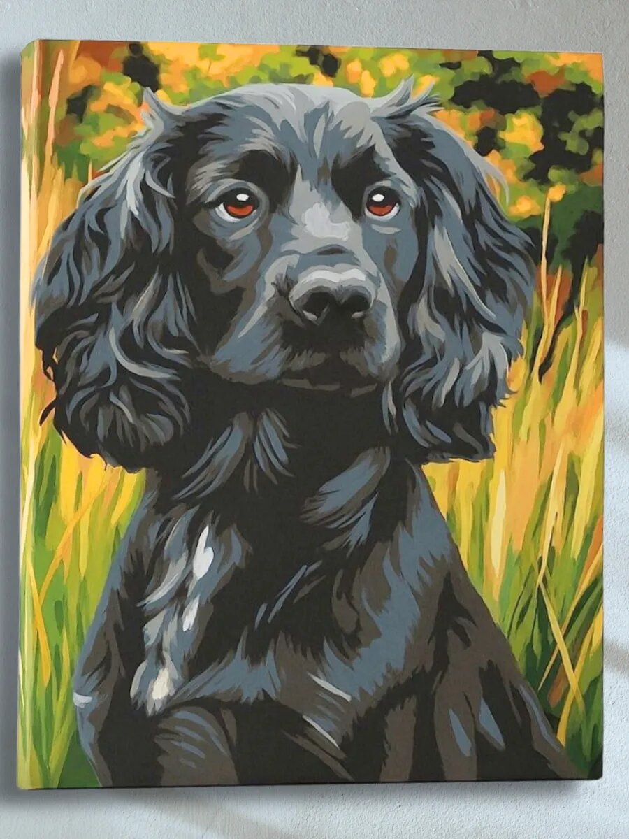 Картина по номерам Спаниель 40х50