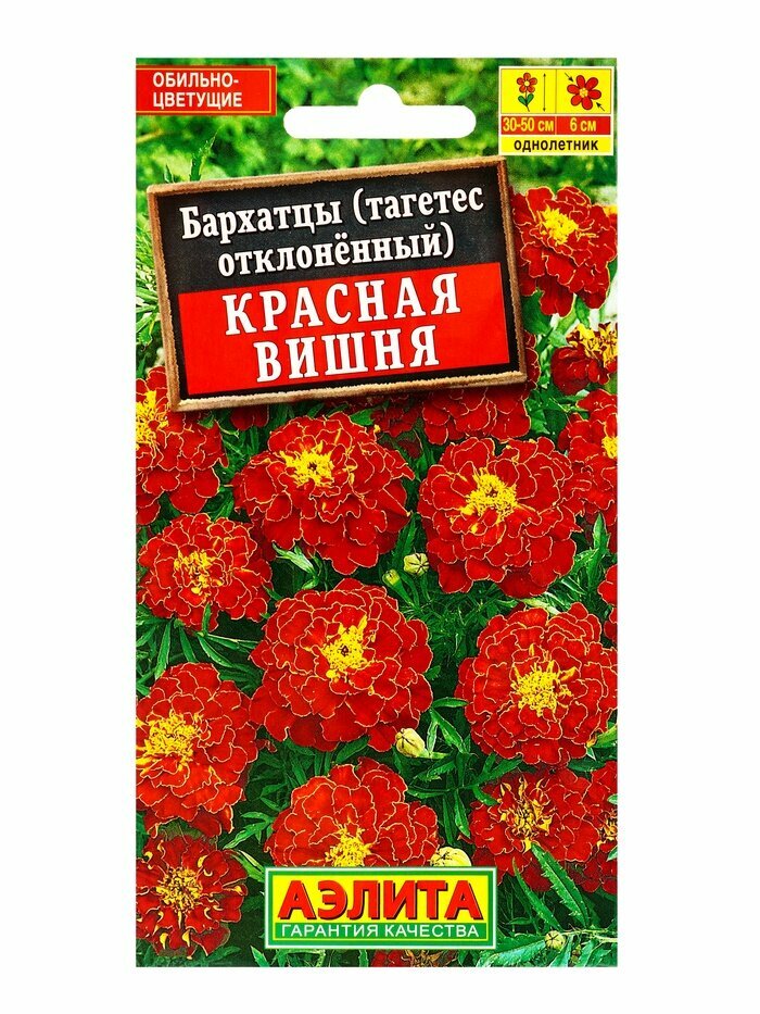 Семена цветов Бархатцы «Красная вишня» отклоненные, 0.3 г