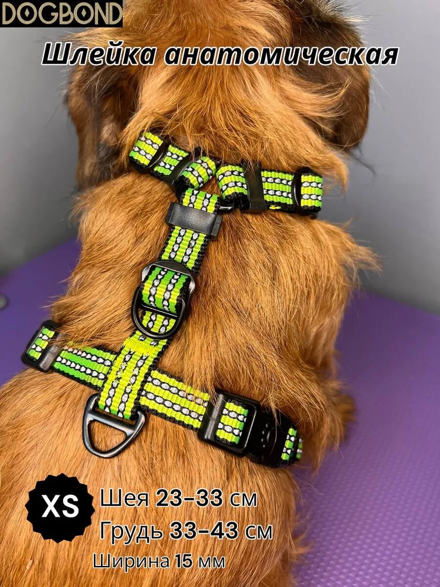 Шлейка Dogbond анатомическая из стропы для собак