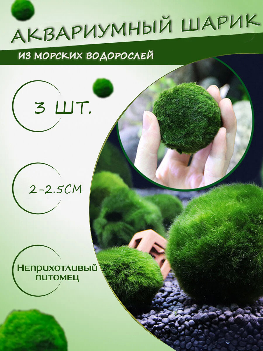Аквариумный аквариумный шарик из морских водорослей это маленький и мягкий шарик из водорослей,
