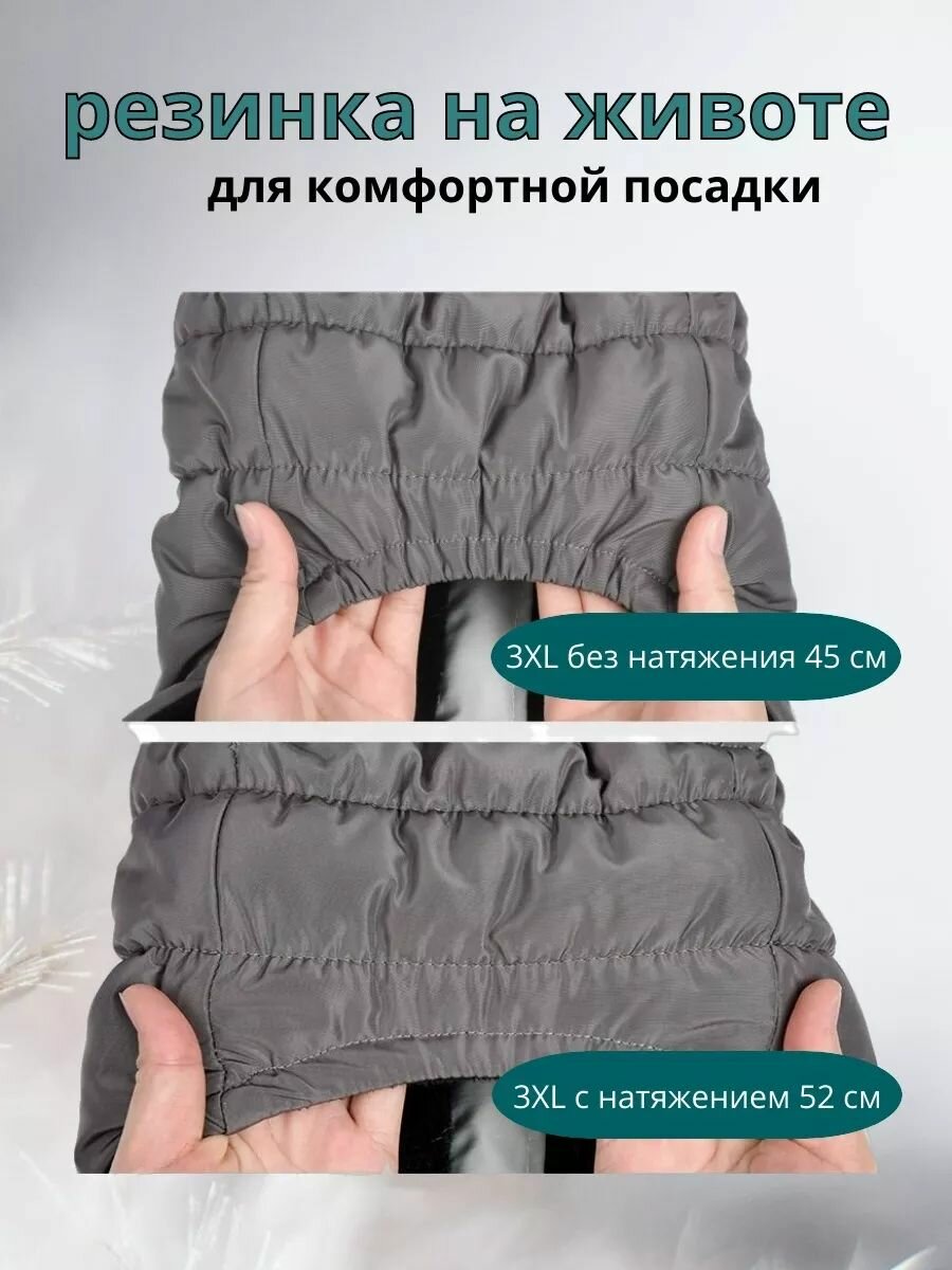 Одежда для животных — фото 1