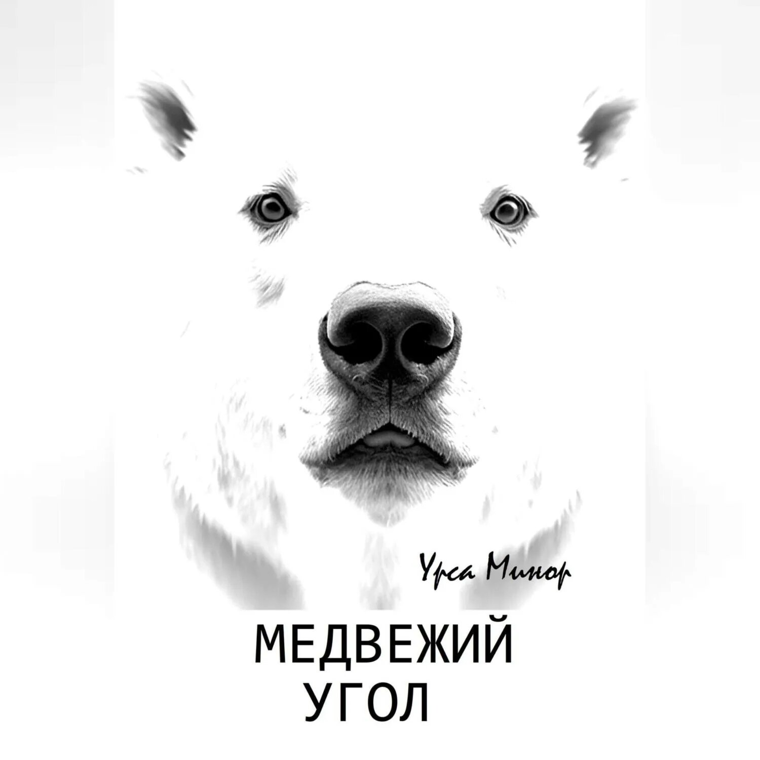 Медвежий угол [Аудиокнига]