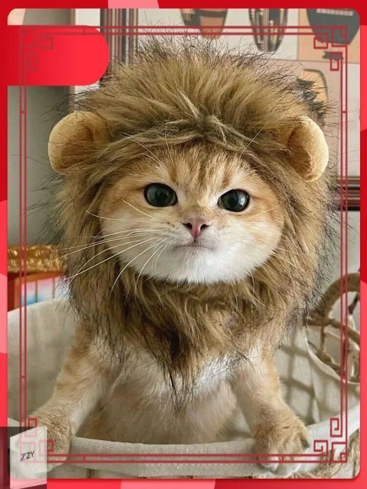 Парик для животных из шерсти с ушками эксклюзивный для обуви и одежды