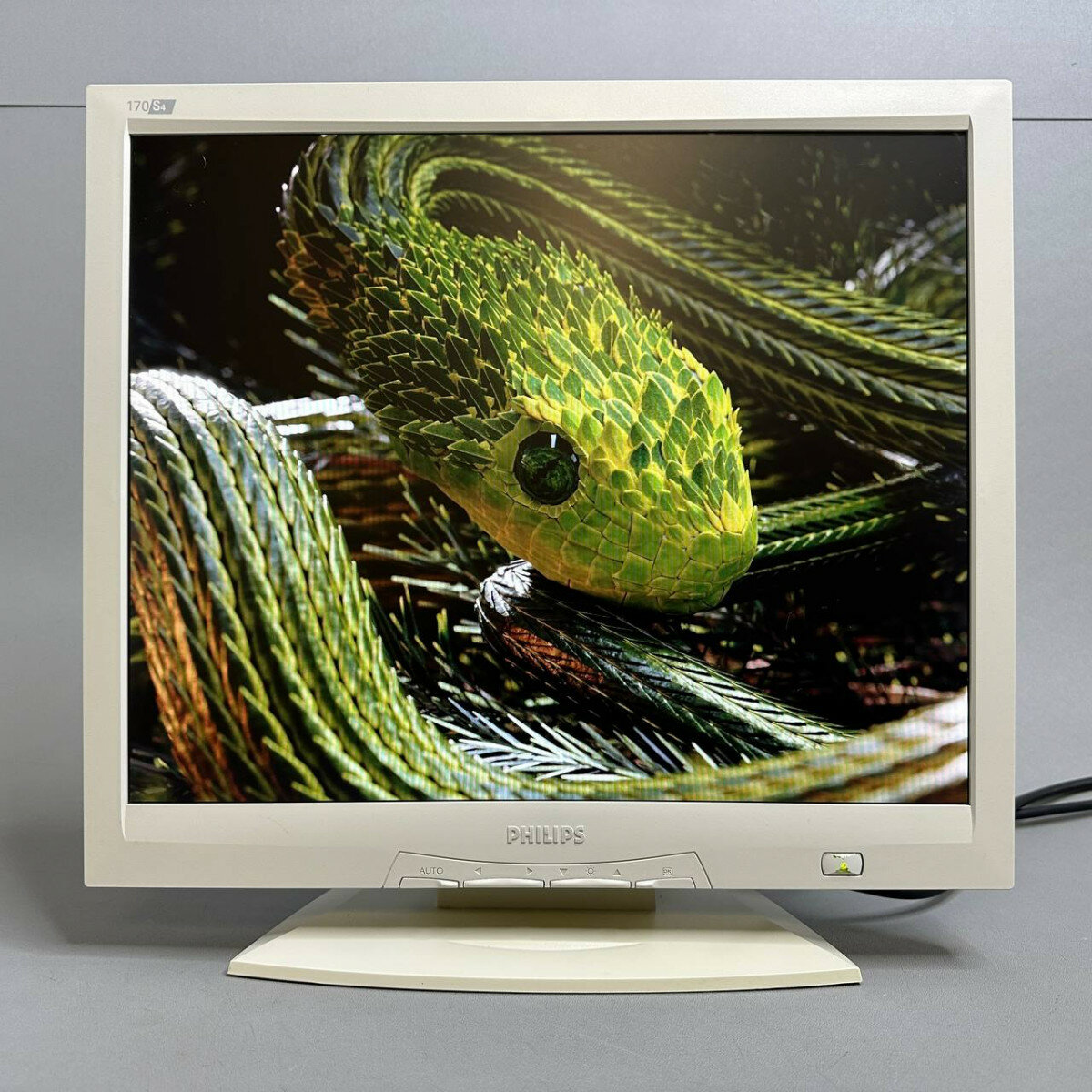 17" Монитор Philips 170S4, 1280x1024, 76 Гц, белый