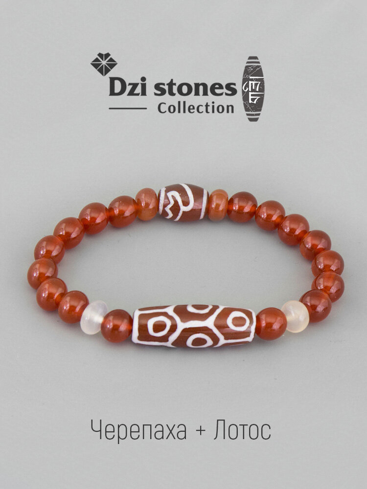 Браслет, агат, сердолик