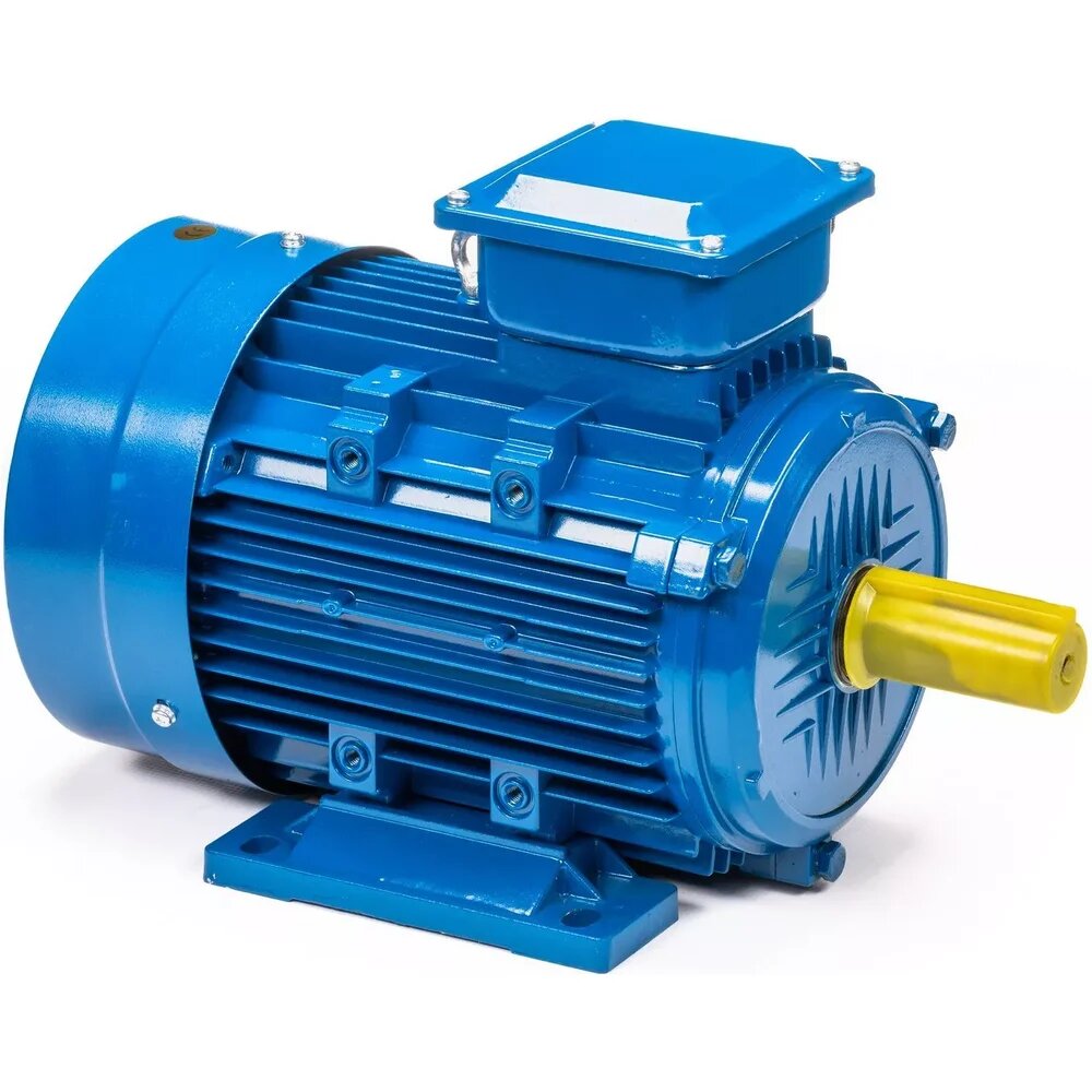 Электродвигатель 5АИ 100 S2 4/3000 IM 1081 01.01.213555, продолжительных работ, со смазкой