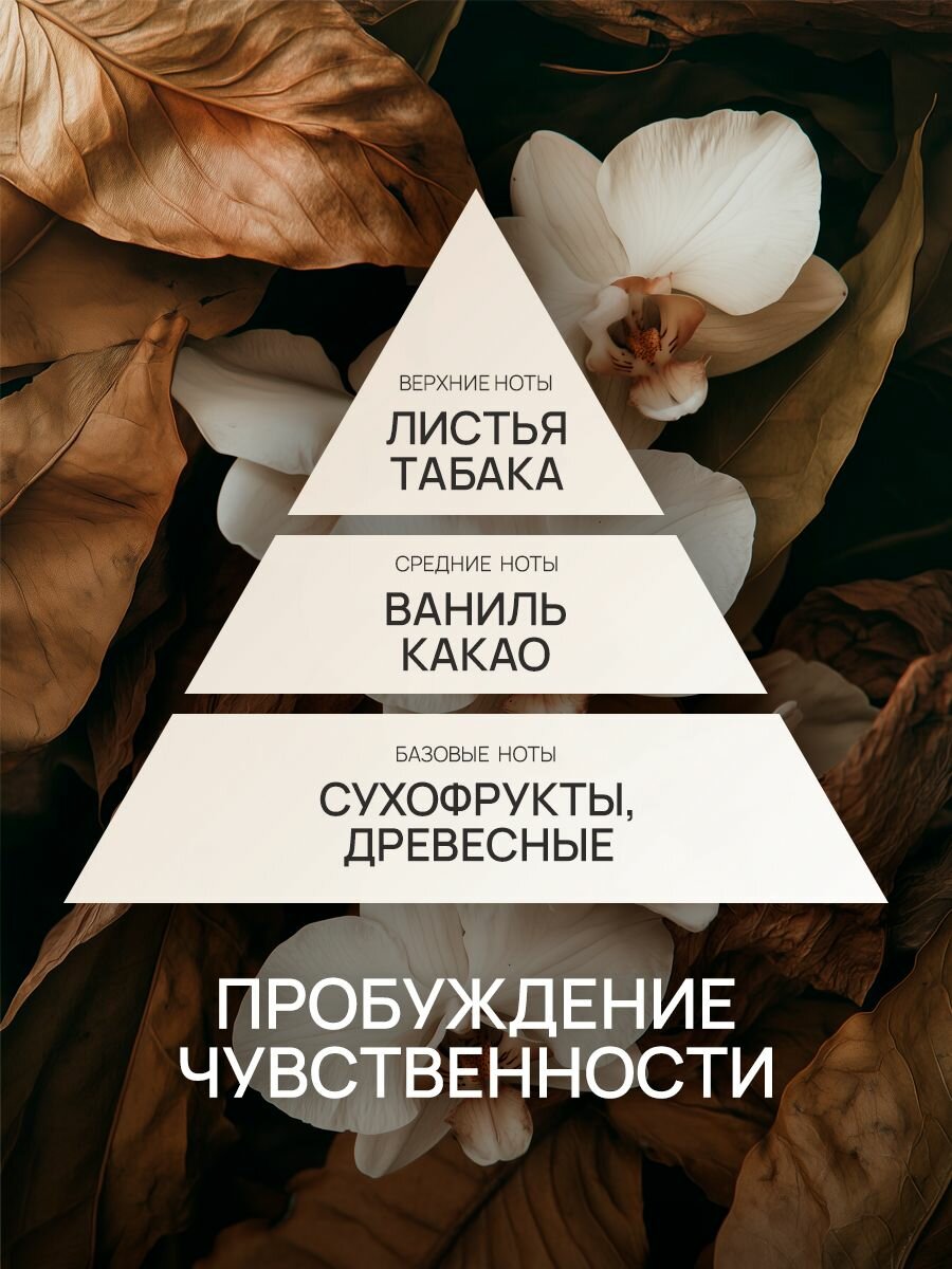 Диффузор с ароматом Tobacco Vanilla BY — фото 1