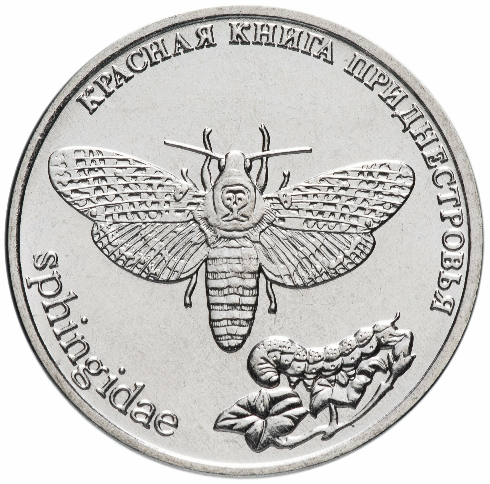 Приднестровье 1 рубль 2018 "Красная книга - Бабочка Адамова голова", Сталь, в сохранности AU-UNC