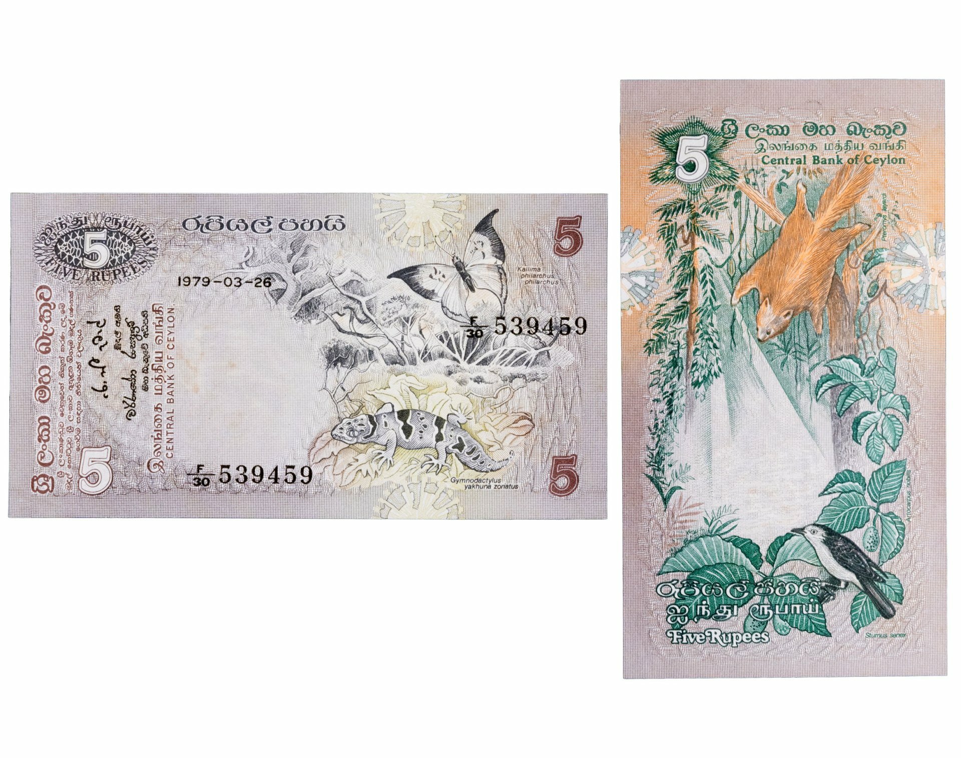 Шри-Ланка Цейлон 5 рупий 1979 Pick 84