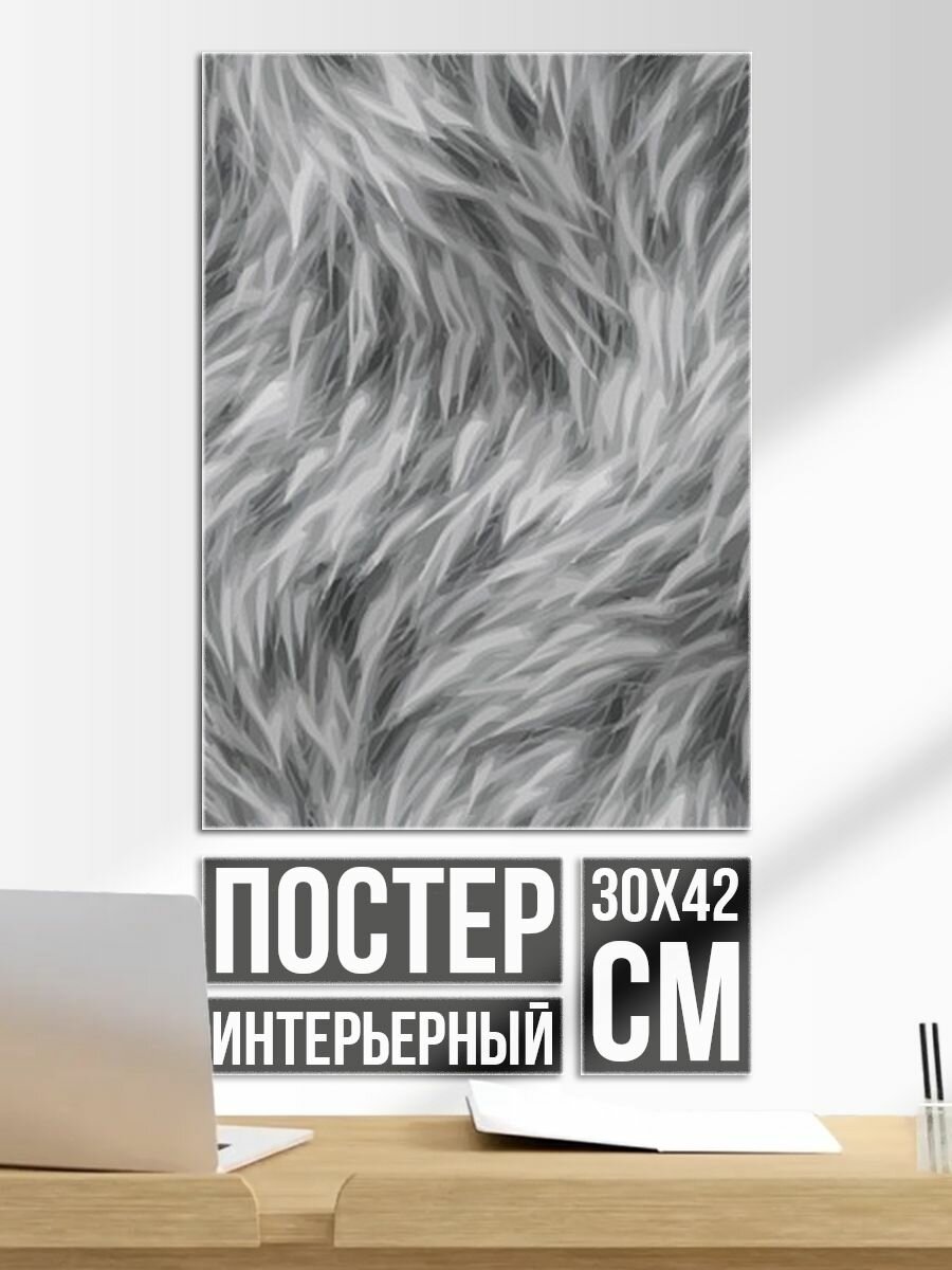 Постер на стену Шкура волка