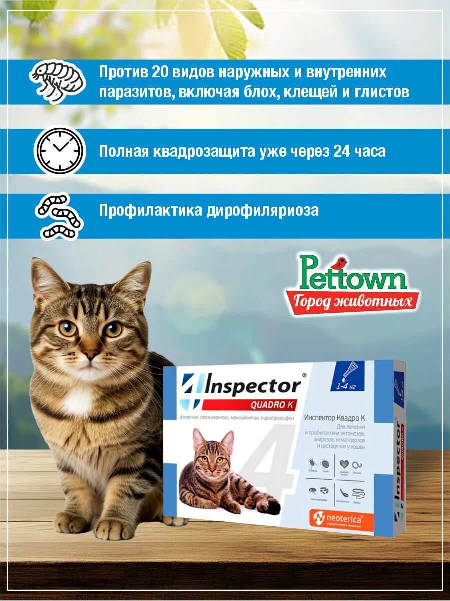 Инспектор Экопром ( Inspector Quadro К ) Капли на холку, для кошек от 1 до 4 кг — фото 1