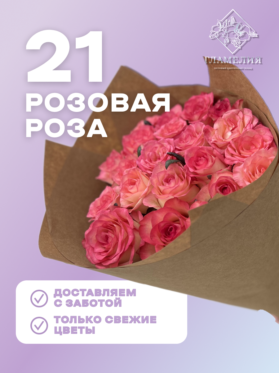 Гламелия цветы «Двухцветная нежность»: 21 роза Jumilia в крафте – купить свежие цветы с доставкой в Москве