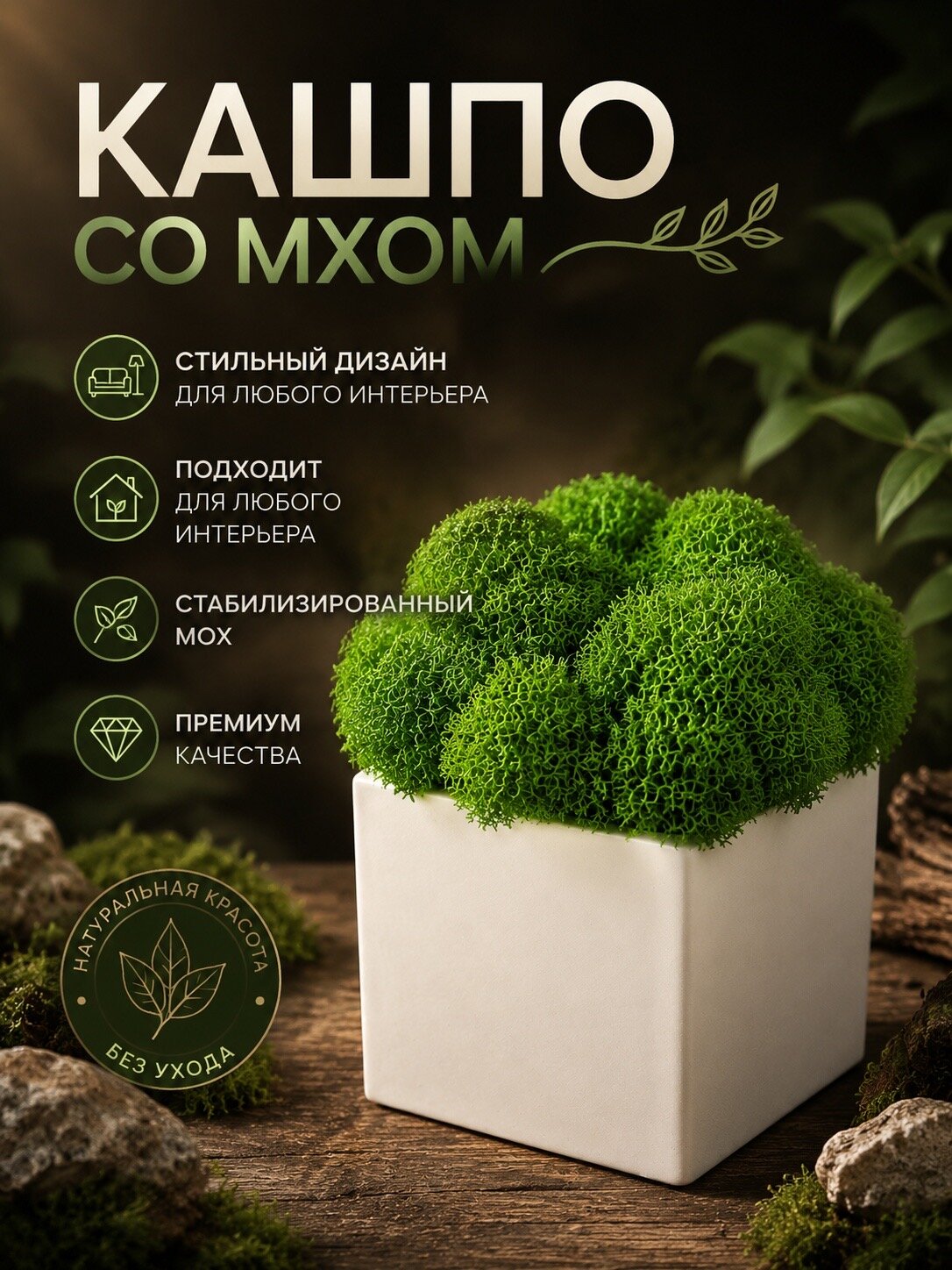 Декоративное кашпо со мхом в гипсовом подсвечнике 1 шт/Куб/Стабилизированный мох