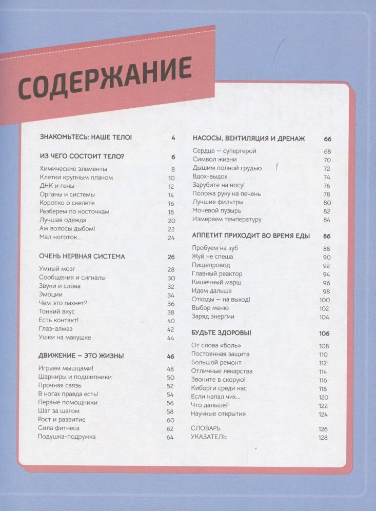 Тело человека. Инфографика — фото 1