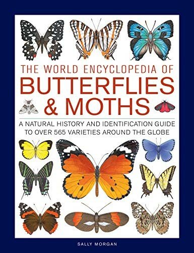 Morgan Sally "The World Encyclopedia of Butterflies & Moths: A Natural History and Identification Guide to Over 565 Varieties Around the Globe"