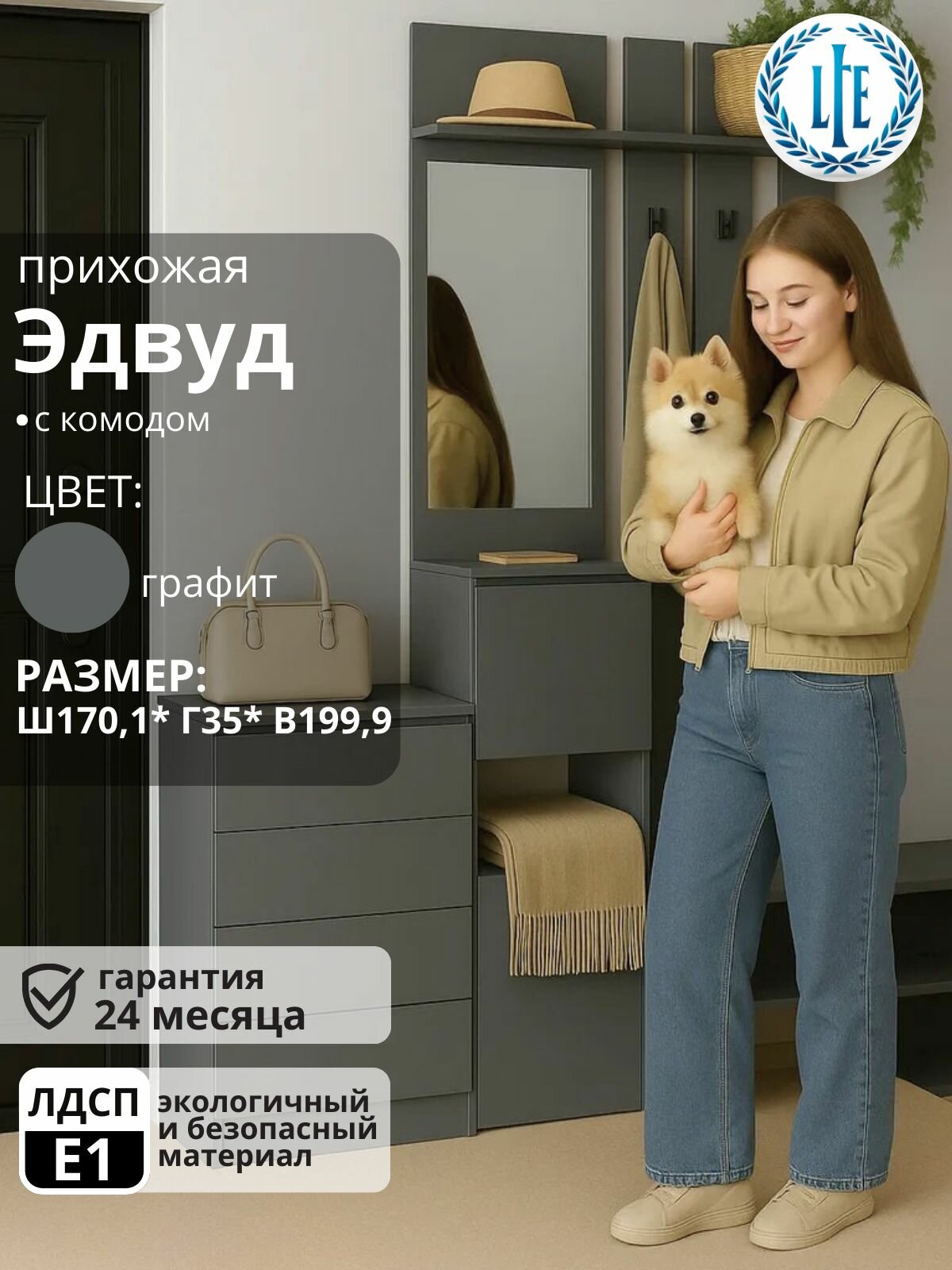 Прихожая Эдвуд графит серый, 170.1х35х200 см