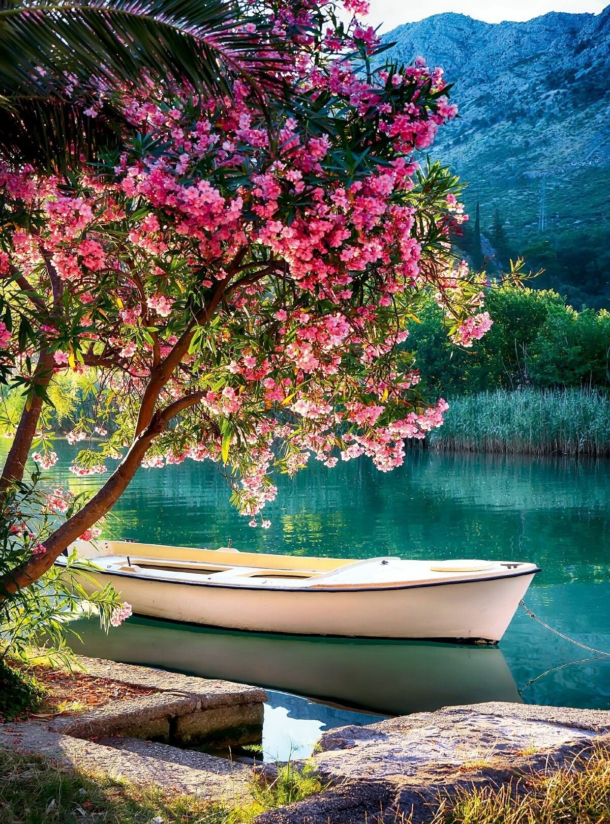 Фотообои флизелиновые с виниловым покрытием И 640 Лодочная пристань на горном озере 200х270см