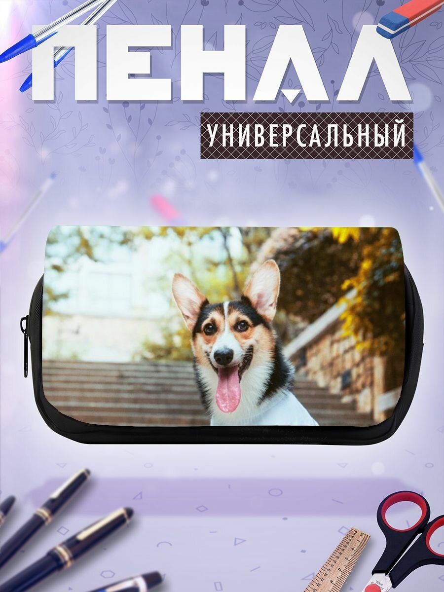 Пенал косметичка пес вельш корги