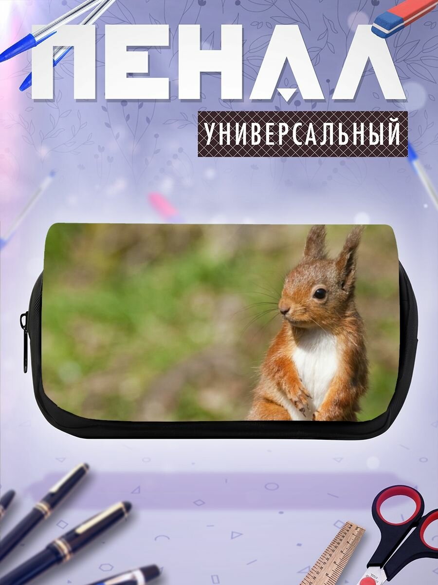 Пенал косметичка грызун бурундук