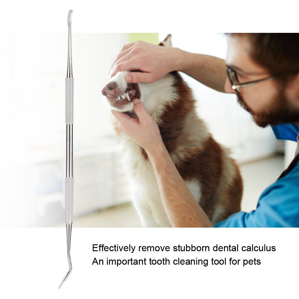 Очиститель зубов для собак из нержавеющей стали, скребок для удаления зубного камня, инструмент для чистки зубов