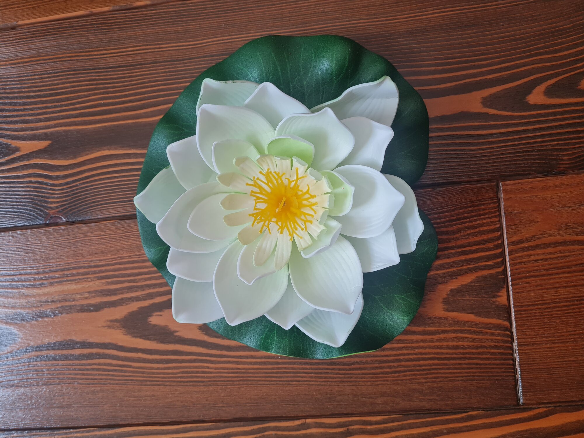 Кувшинка для пруда-1 шт