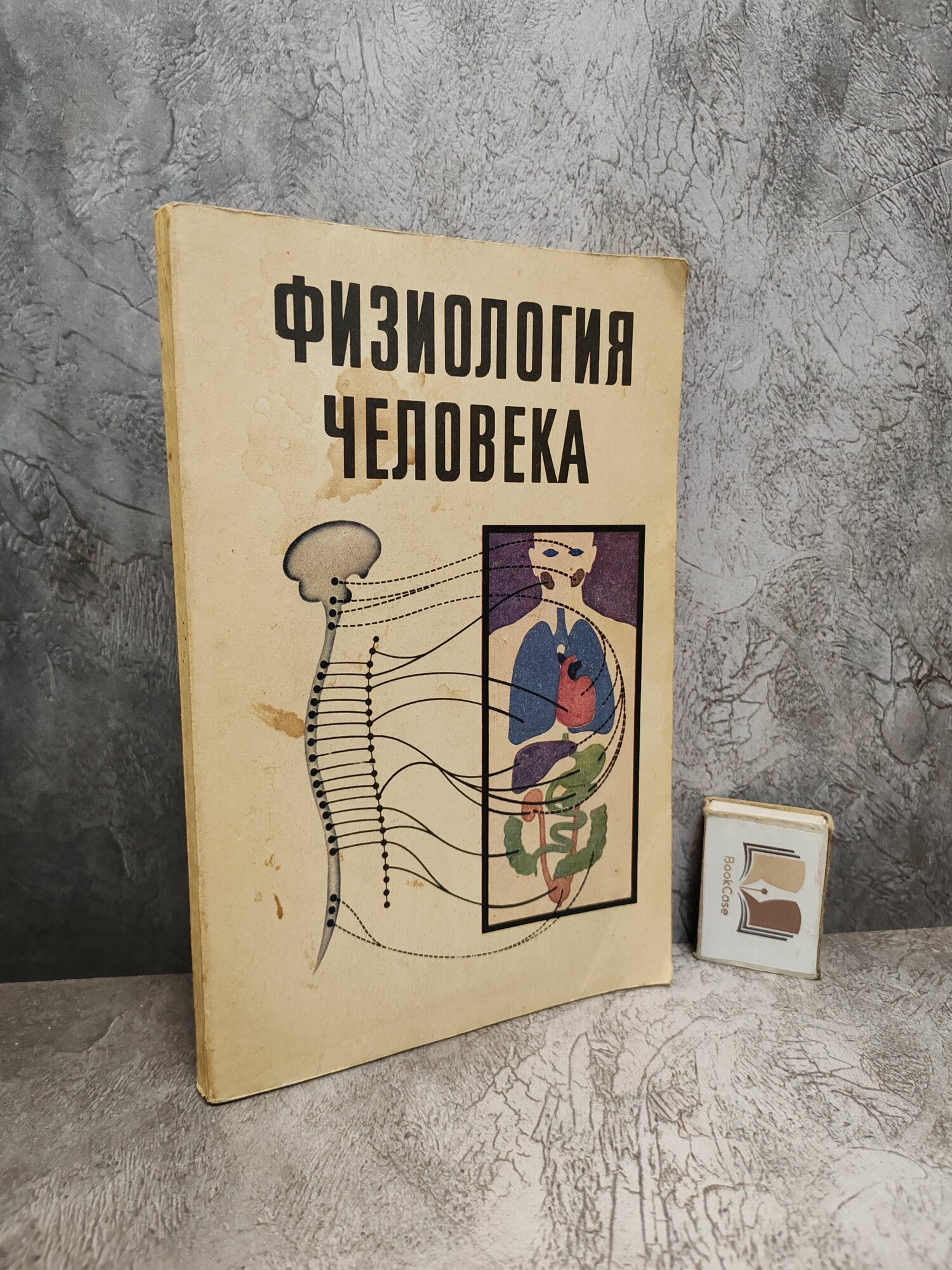 Физиология человека. Учебное пособие. 1982 г.