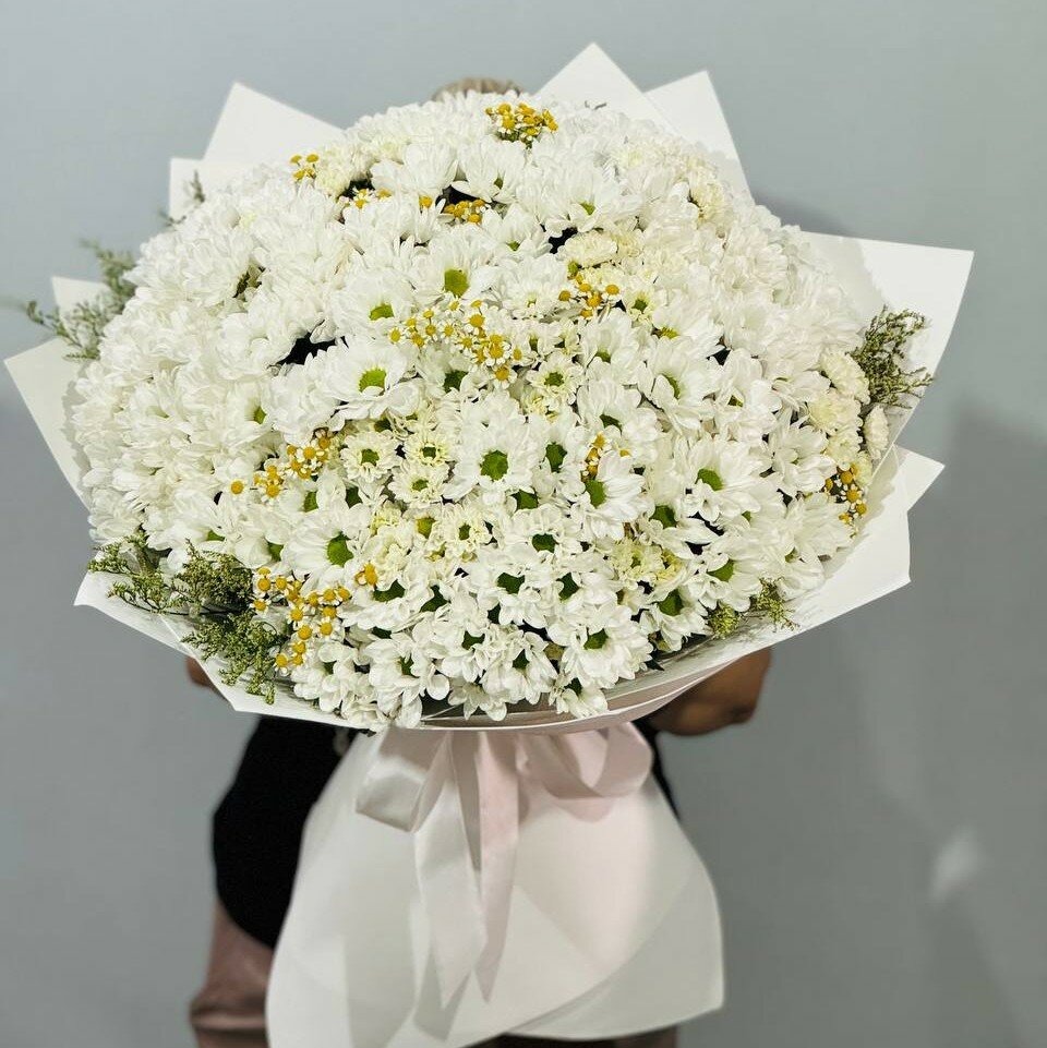 Огромный букет белых хризантем, сантини, полевых ромашек танацетум матрикария