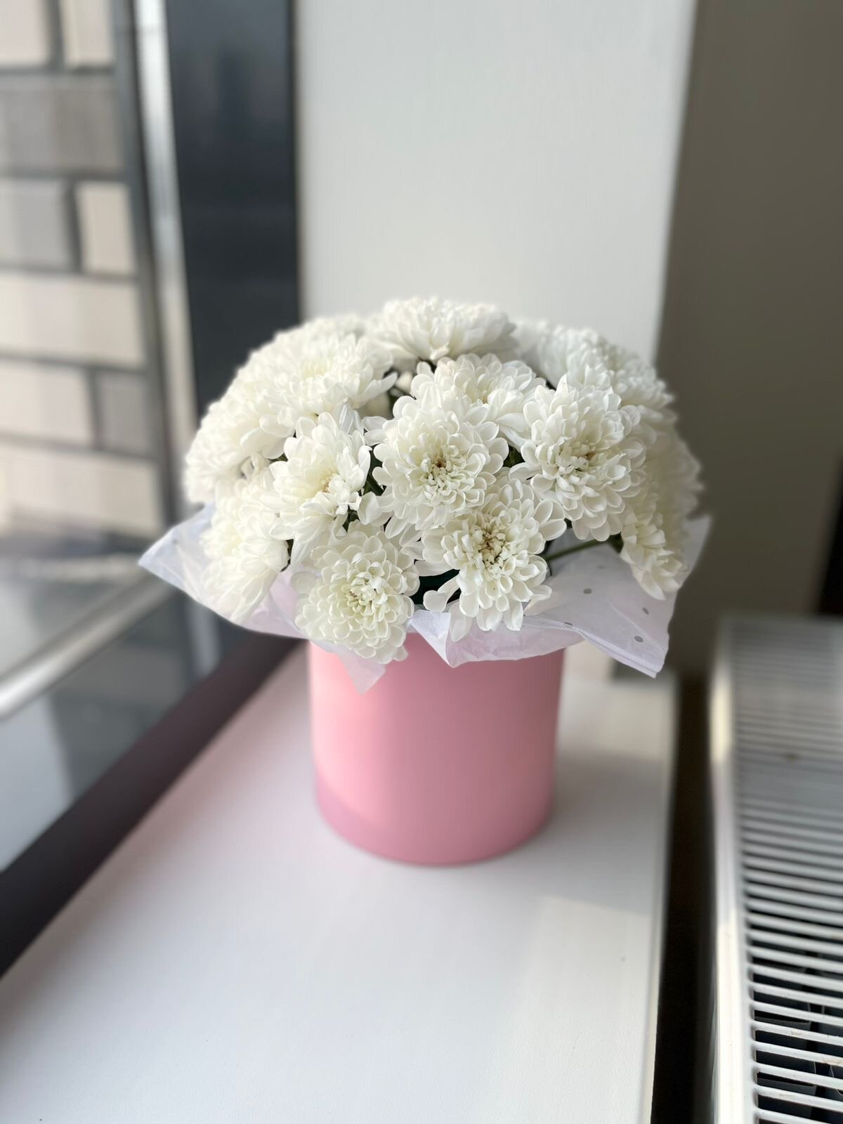 Розовая шляпная коробка с кокосовыми хризантемами сорта Алтай