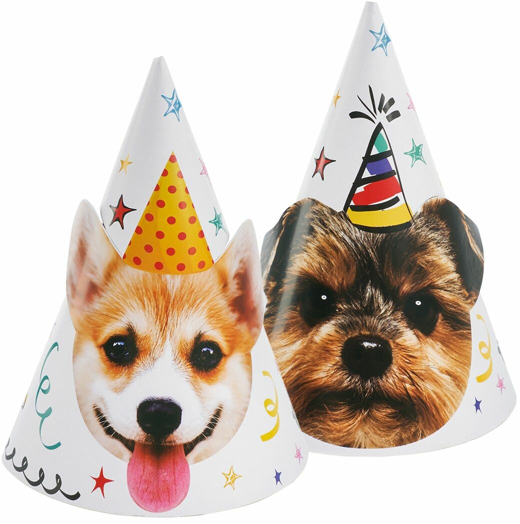Колпачки для праздника дня рождения "Собачки фотографичные", 6 шт