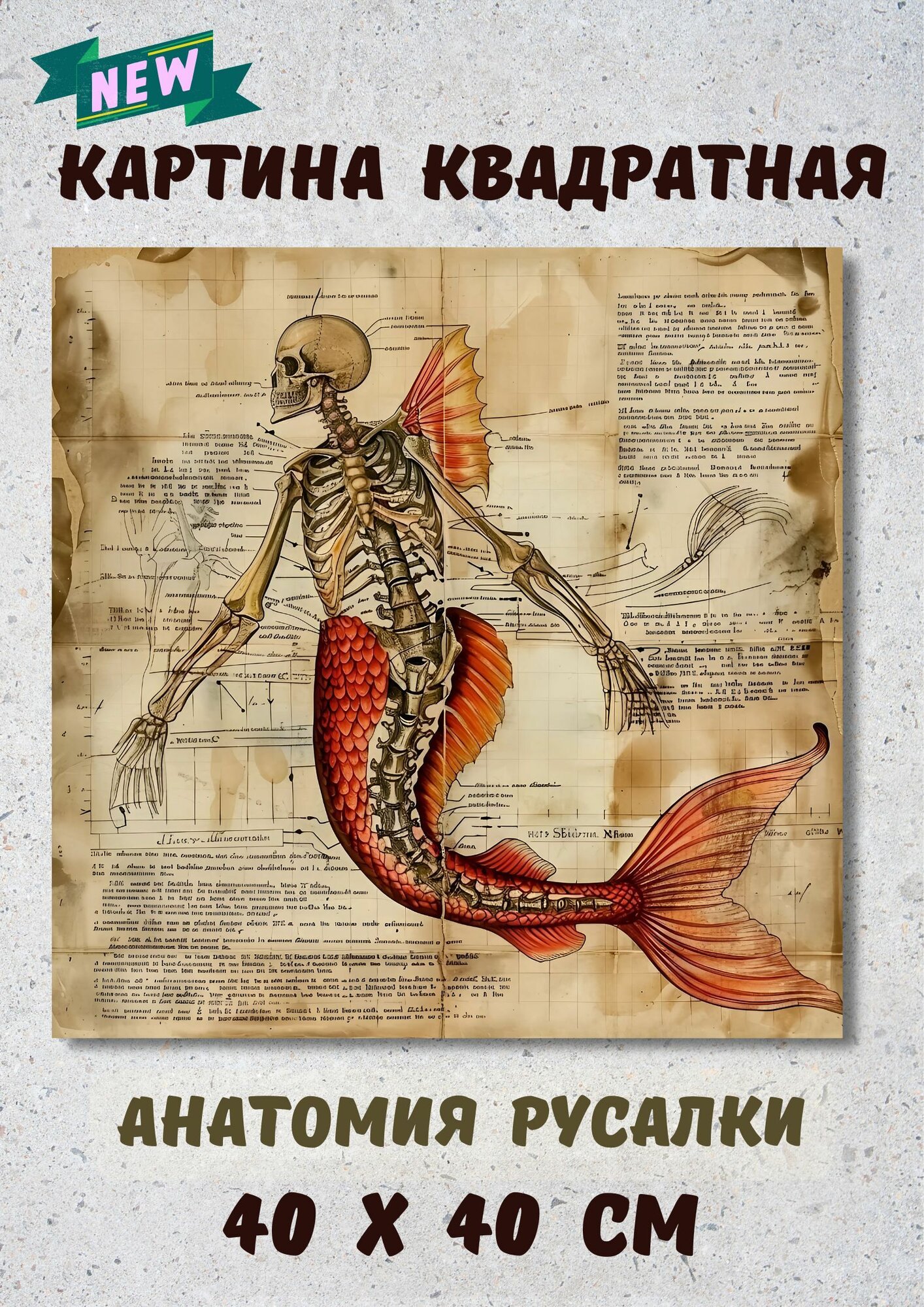 Картина 40х40 анатомия фантастического существа "Русалка"