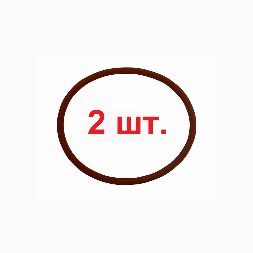 4L0130519 Кольцо уплотнительное ТНВД - 2 шт.