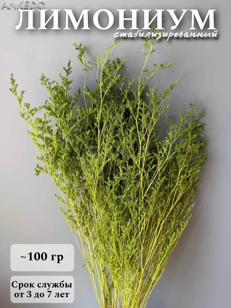 Стабилизированные цветы Анемона, 80 гр, 1 шт