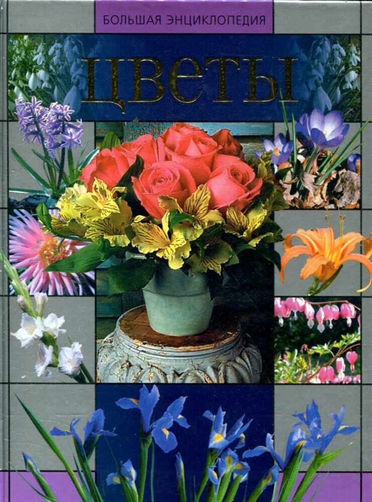Быховец А.И. - Энциклопедия. Цветы - 2003