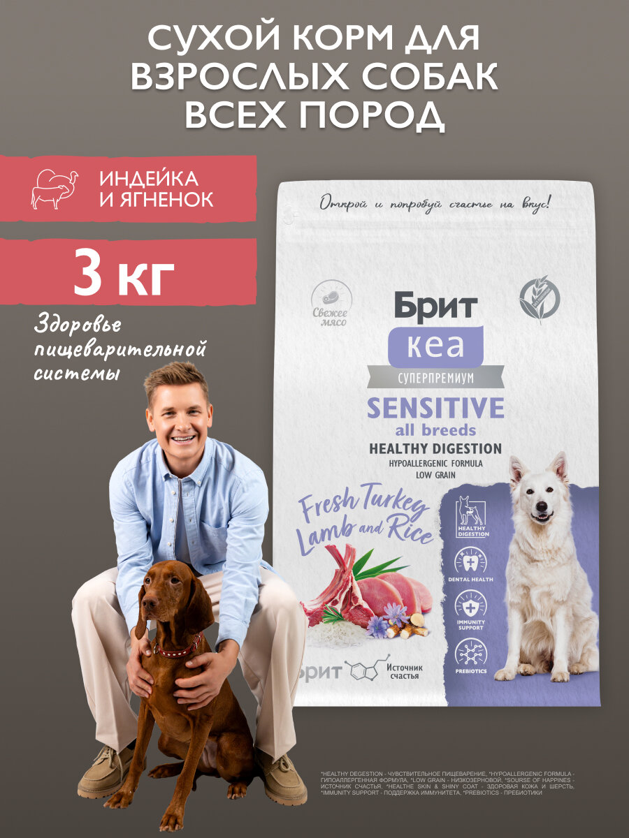 Сухой корм для собак всех пород супер-премиум с индейкой и ягненком 3 кг Брит Кеа