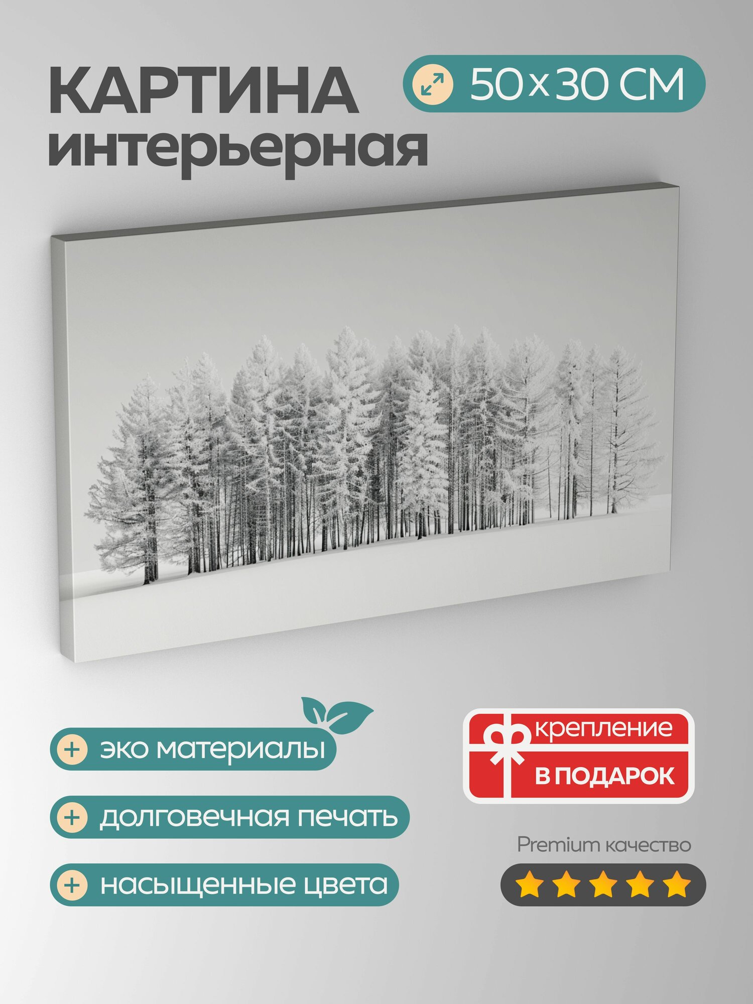 Картина на холсте интерьерная 50х30 см, зимний лес, снег, белые деревья, нетронутый пейзаж, фотография, черно-белая