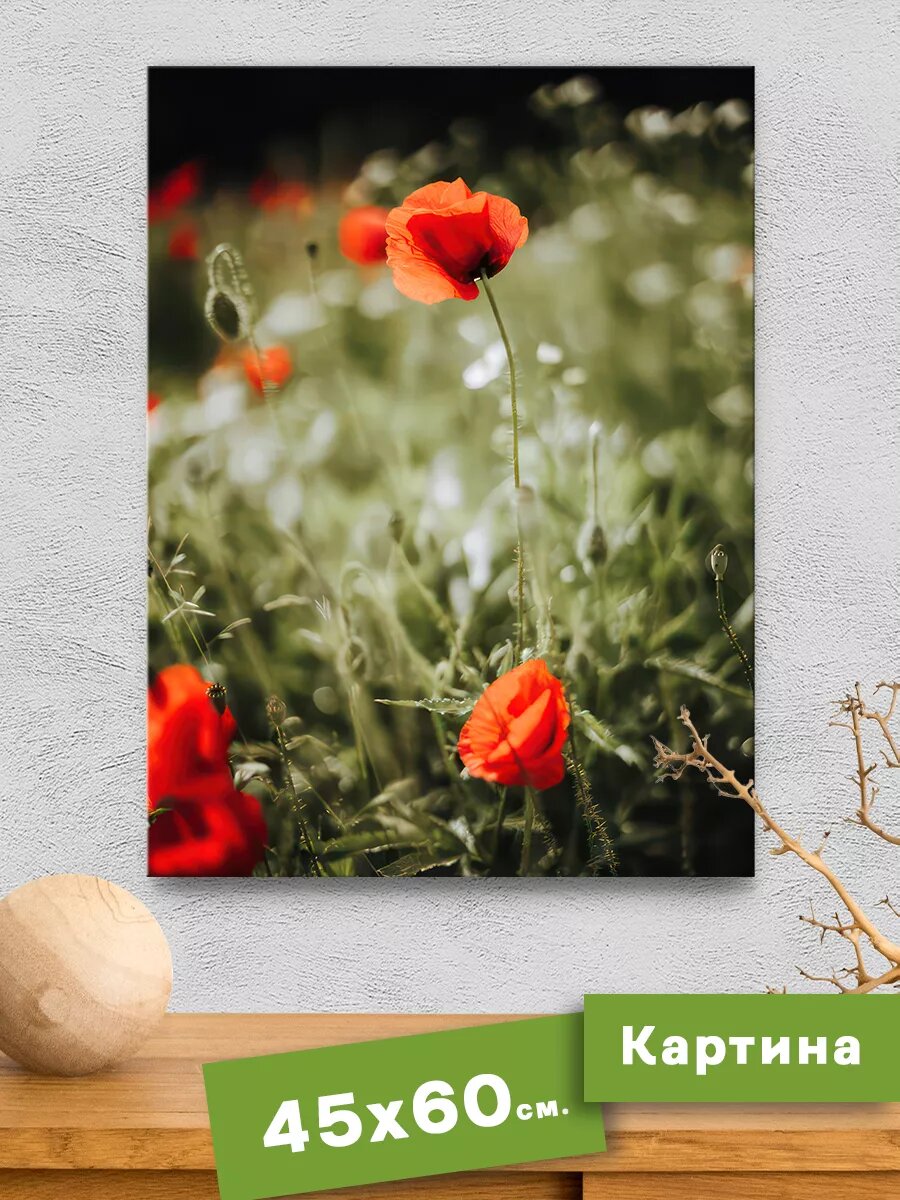 Картина на стену на холсте Маки в поле Цветы