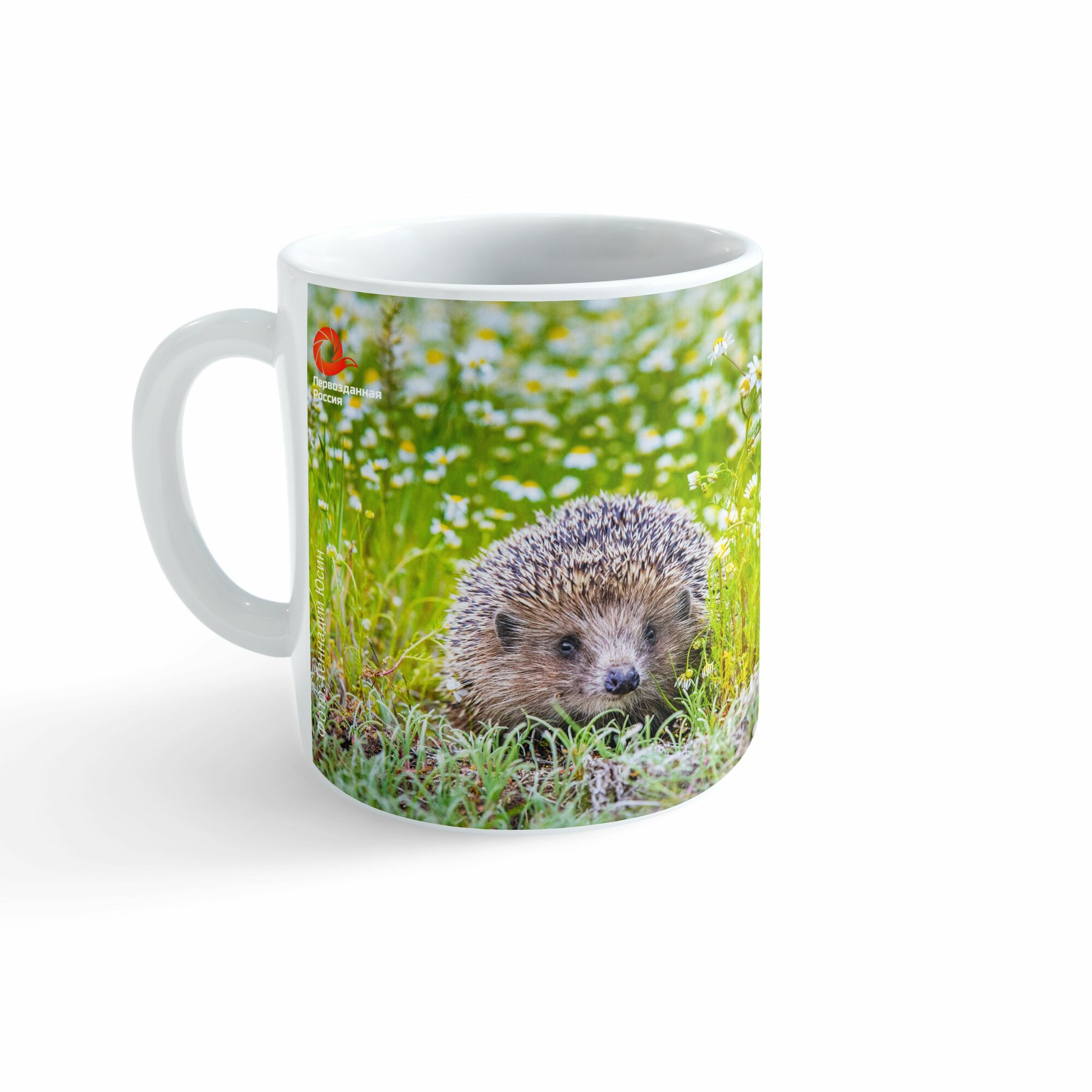 Кружка Первозданная Россия "Ёжик в поле"