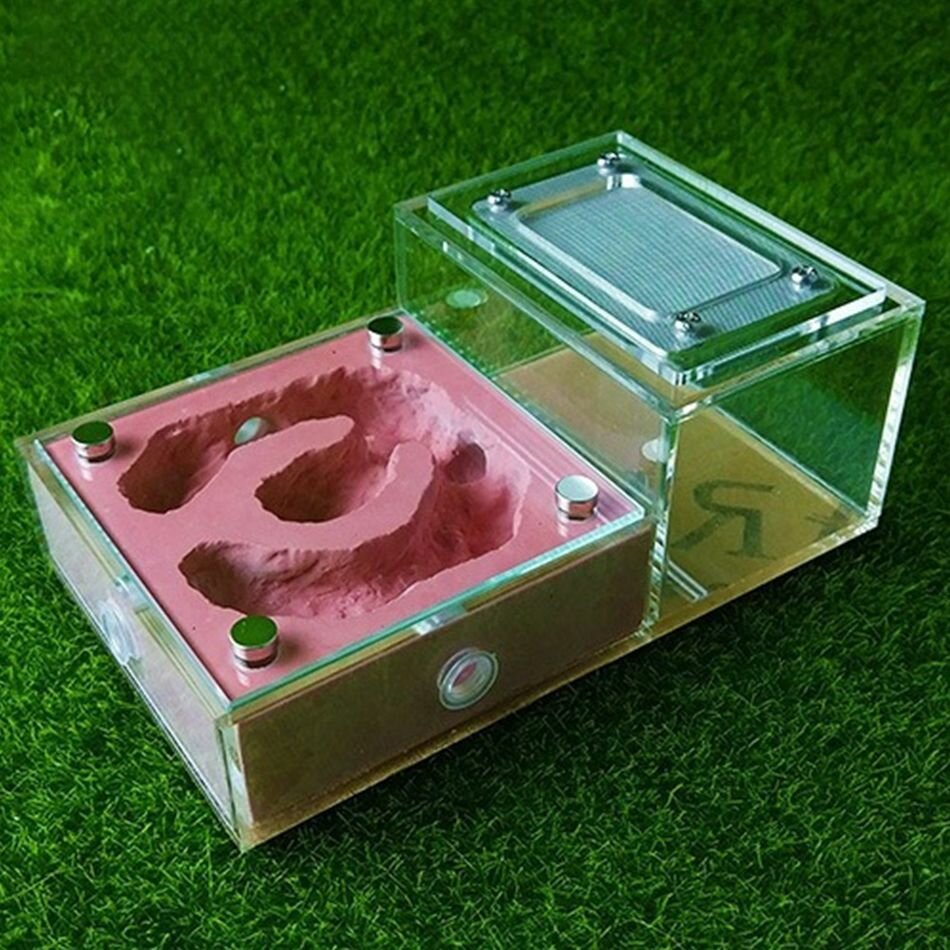 Муравьиная ферма, "замок" для рептилий, прозрачный отдельно стоящий полный комплект