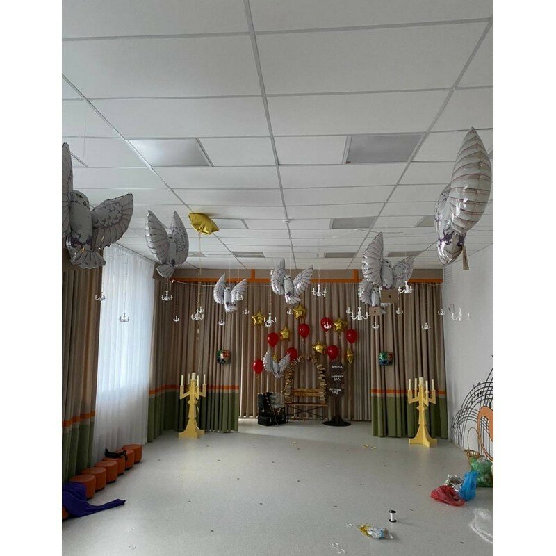 Набор шаров с гелием № 328 - Выпускной с совами ( аэродизайн )