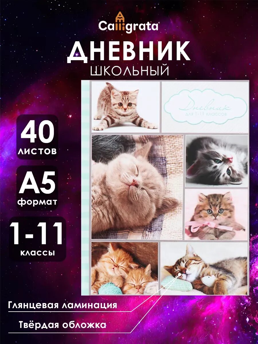 Дневник школьный 1-11 класс твердый