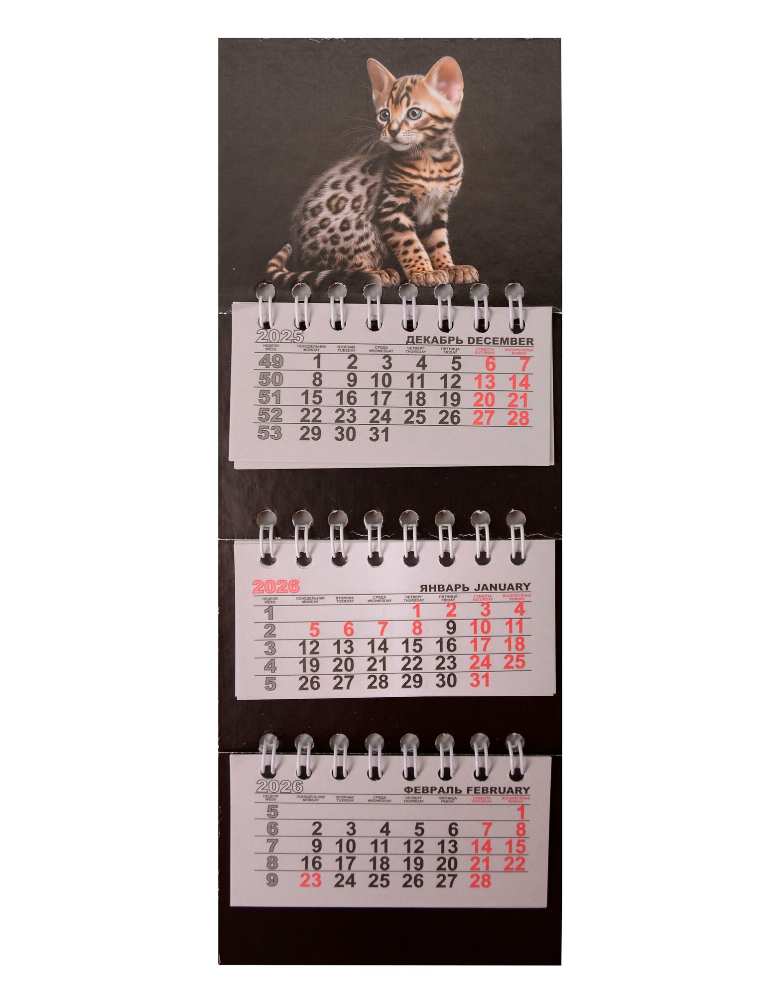 Календарь квартальный 2026г 82*230 "Котенок на черном" на магните