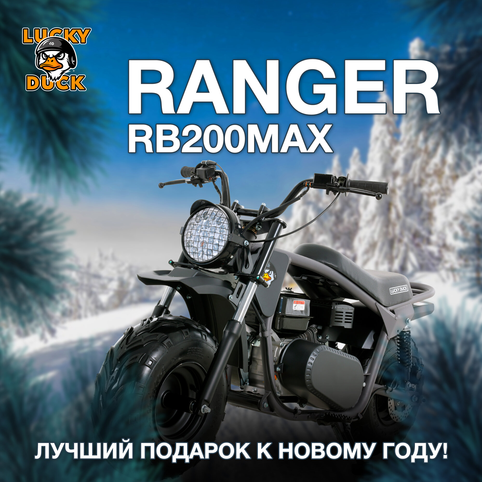 Минибайк Lucky Duck Ranger RB200MAX, 196см³, вариатор, дисковые тормоза, задний амортизатор, серый графит