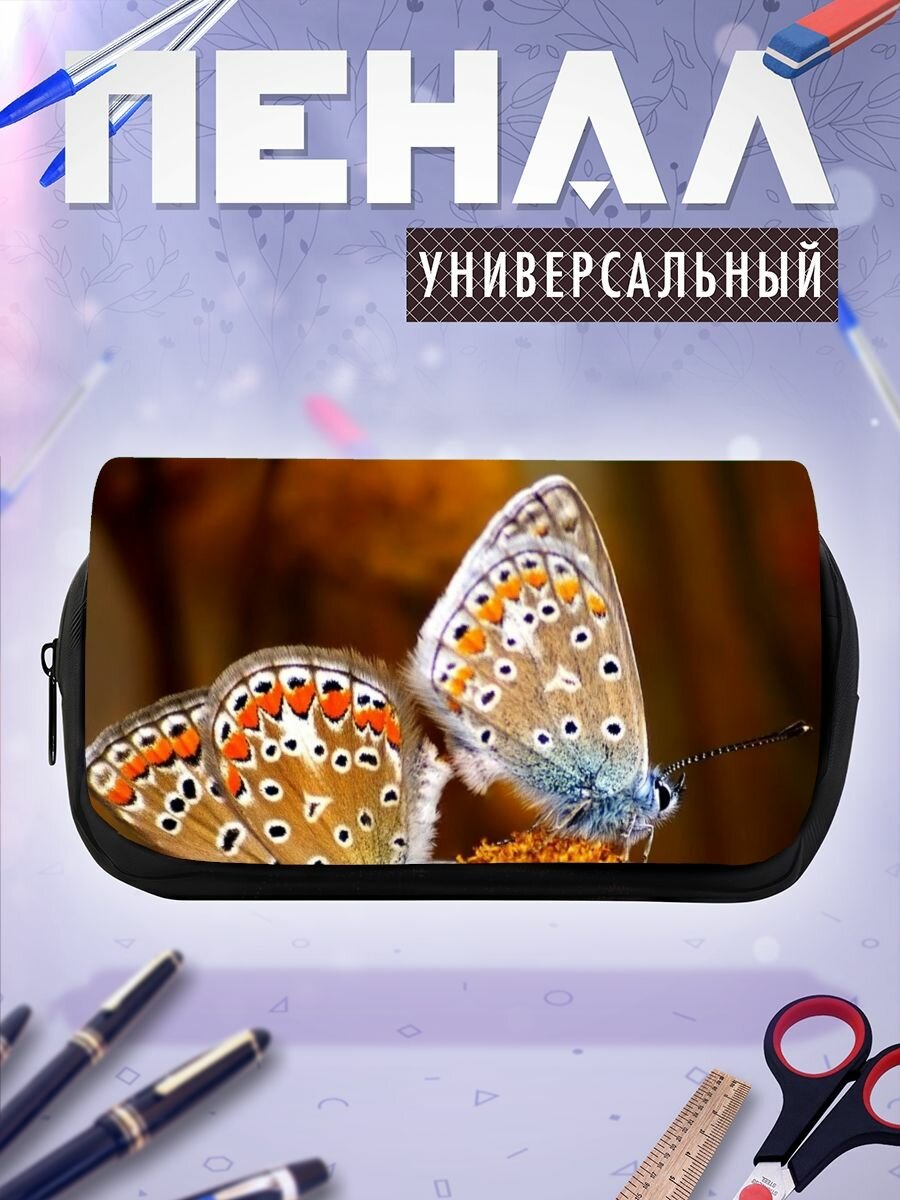 Школьный пенал мотыльки и бабочки бабочка