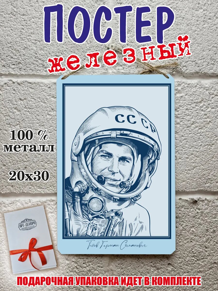 Титов Герман портрет железный постер на стену