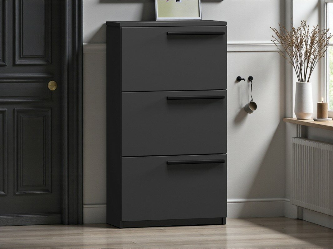 Обувница Лорена Пакс-3 Черныи 0190 PE NEW 65x30x115 см, черный Фиеста