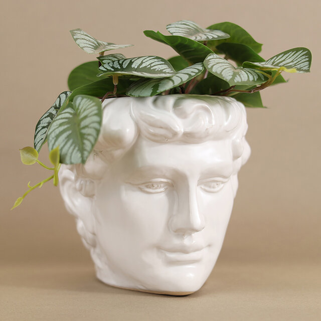 Декоративное кашпо Голова Давида 18*16 см, Kaemingk, 521469-1