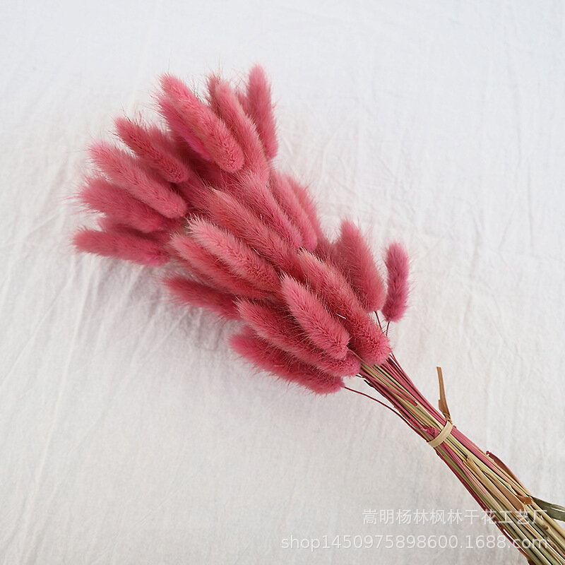 Пучок травы "Кроличий хвост", 60 палочек, винно-красный