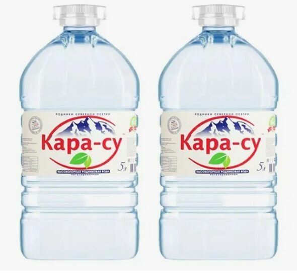 Вода питьевая Кара-Су 5л негазированная (упаковка 2 шт.)