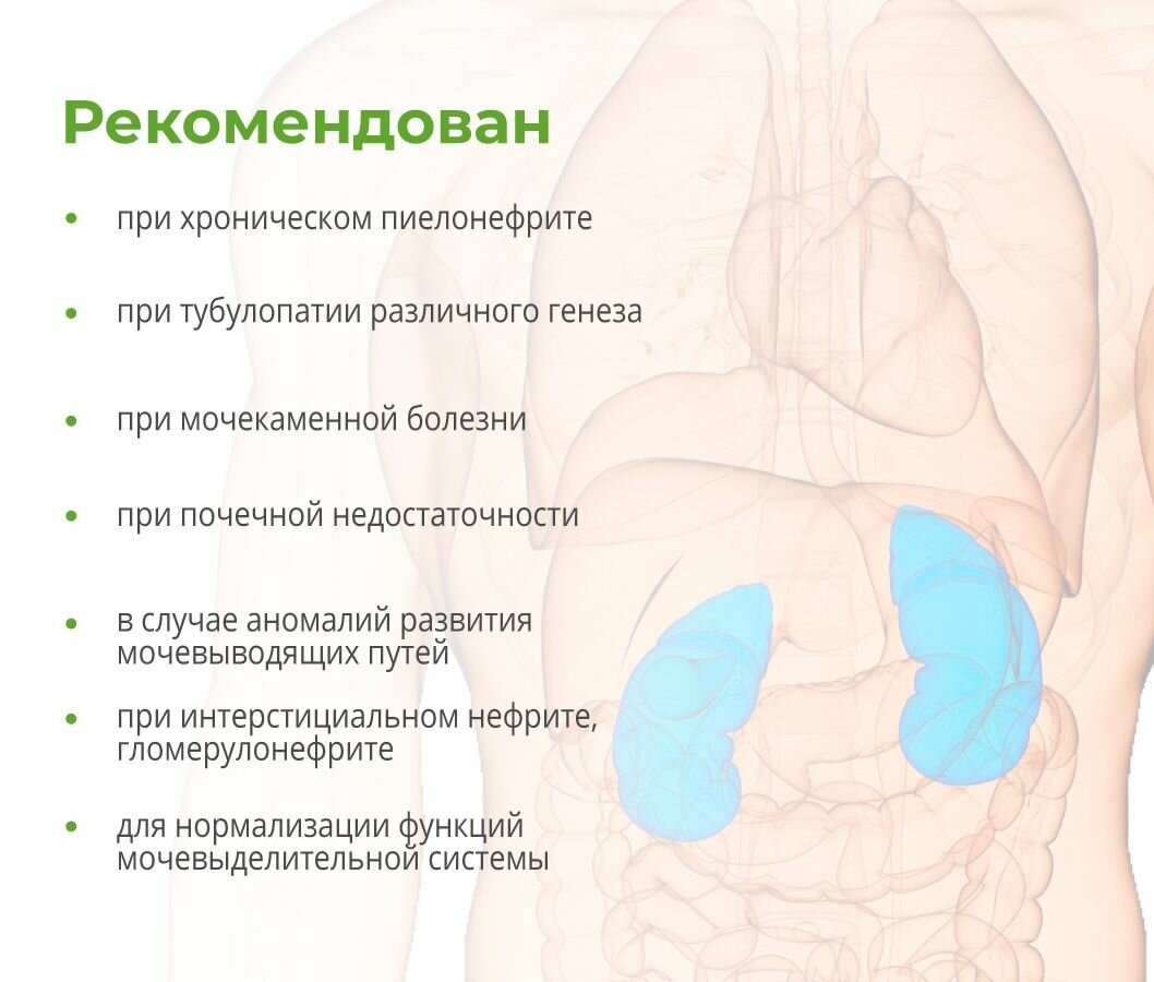 Пиелотакс (Пептиды Хавинсона) пептиды почек, 60 капсул, бад при почечной недостаточности, нефрит, цистит — фото 1