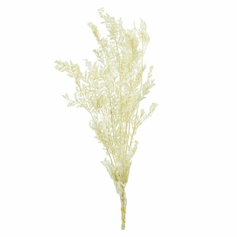 Искусственный цветок Веселый праздник Белый Рускус, стабилизированный